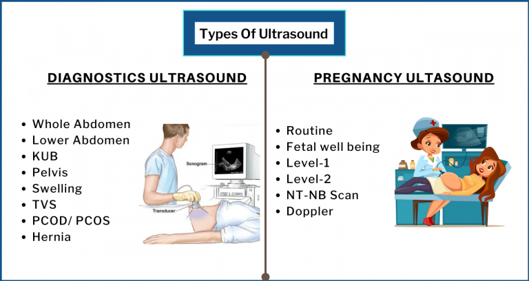 USG (Ultrasound) Whole Abdomen: Price, Purpose & Results | ₹1199 [2025]