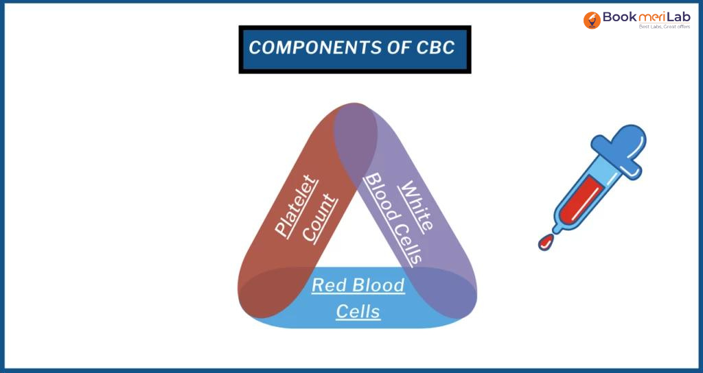 CBC Test Purpose Prepare Report Price 2024 BookmeriLab