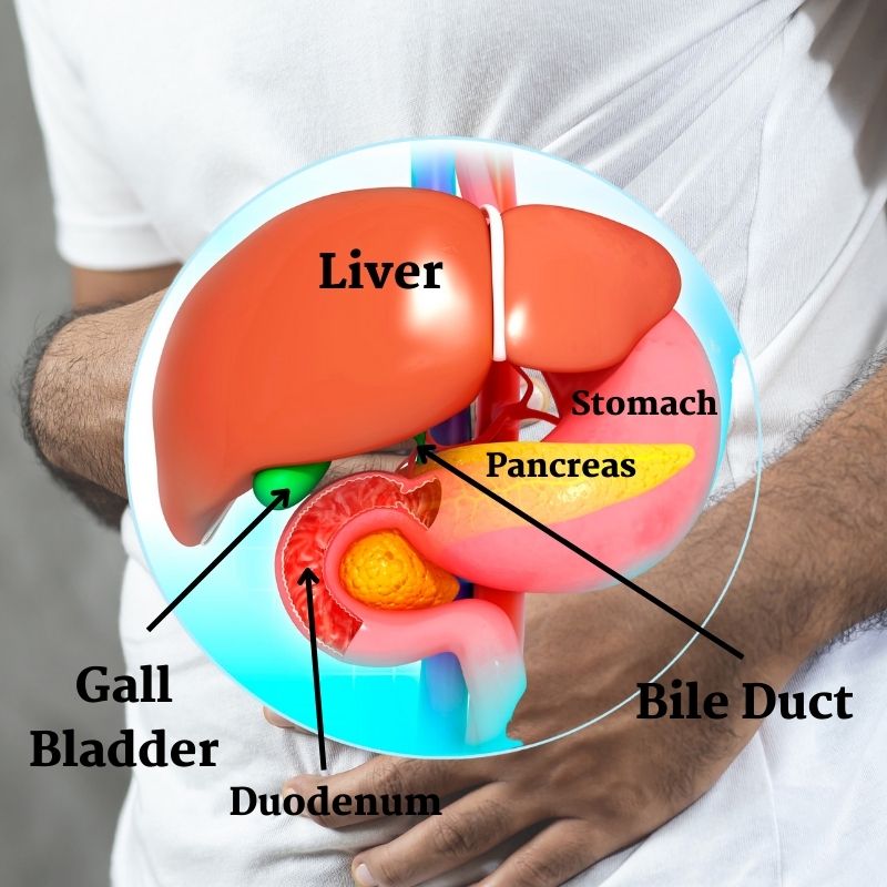 MRCP Test Price Purpose Result Sample Report 2023 MRCP Test Price Purpose Result Sample Report 2023