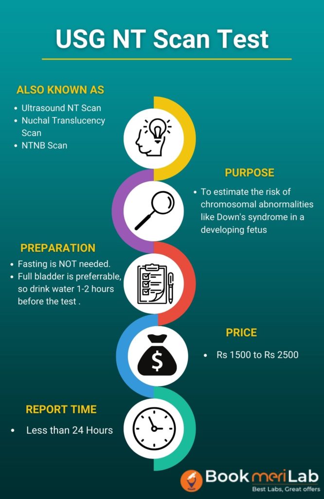 Book Ultrasound NT Scan Price Purpose Results Timing