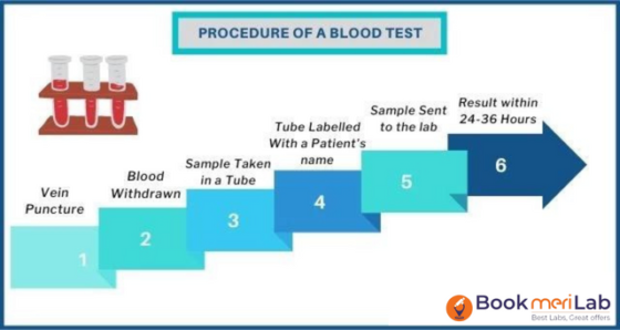 Tests During Pregnancy: Trimester Wise Complete Guide [2026]