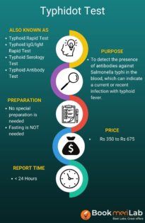 Typhidot Test (IgM & IgG): Price, Purpose & Results [2026]